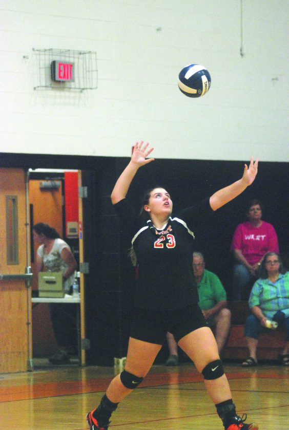 Area volleyball teams eye state tournament | News, Sports, Jobs - News ...